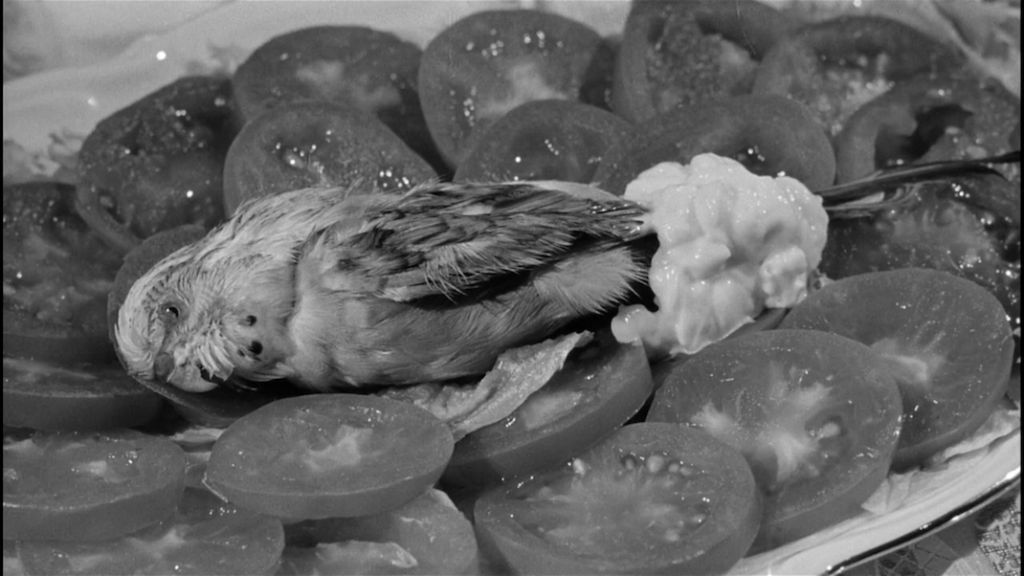 WHAT EVER HAPPENED TO BABY JANE? (1962) | THE UNAFFILIATED CRITIC